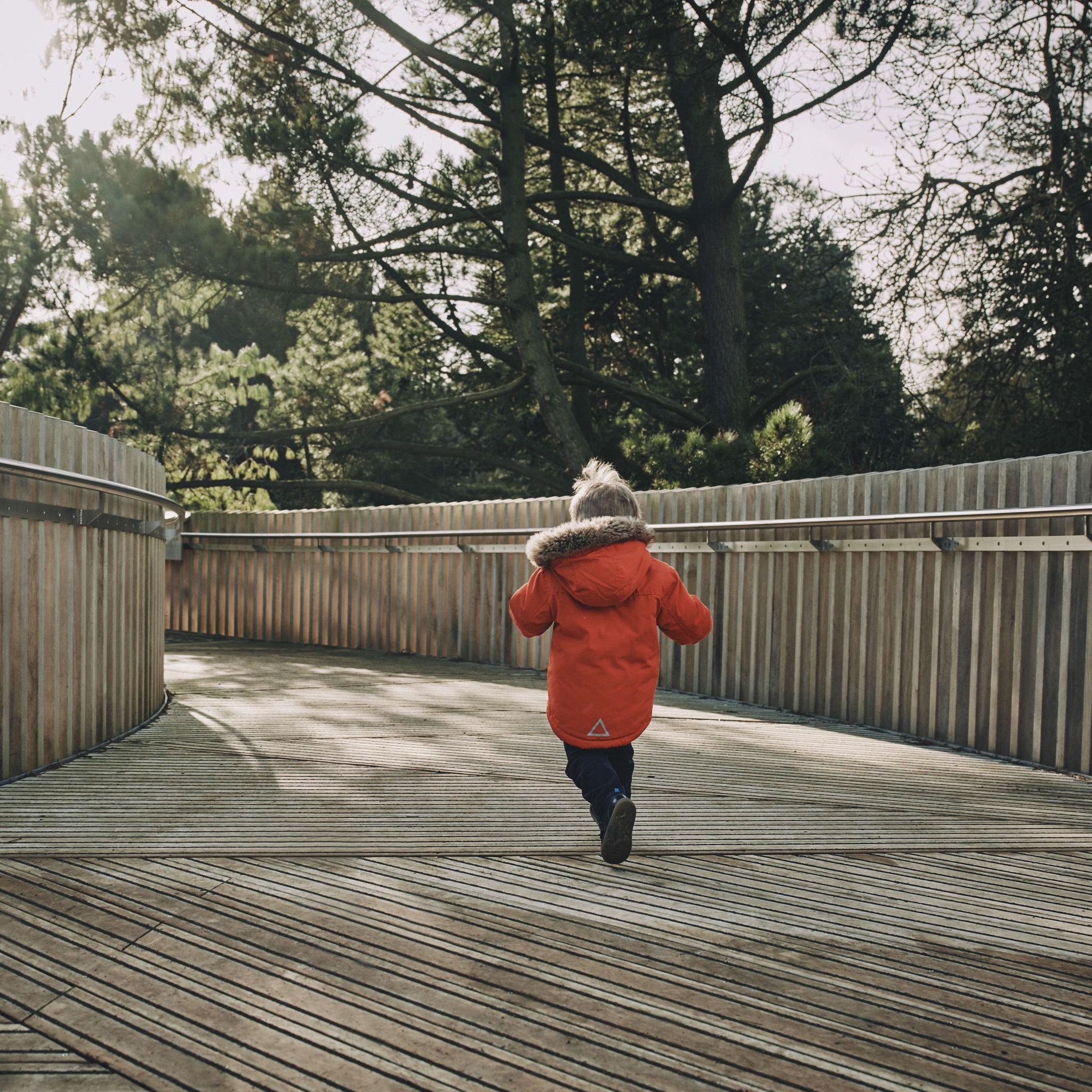 Accoya Modified Wood – Unrivalled in Performance, Beautiful in Finish